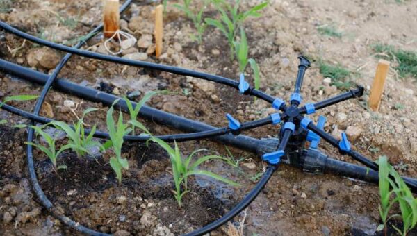Drip vs Sprinkler Irrigation: Which Should You Choose? | Rainfaun
